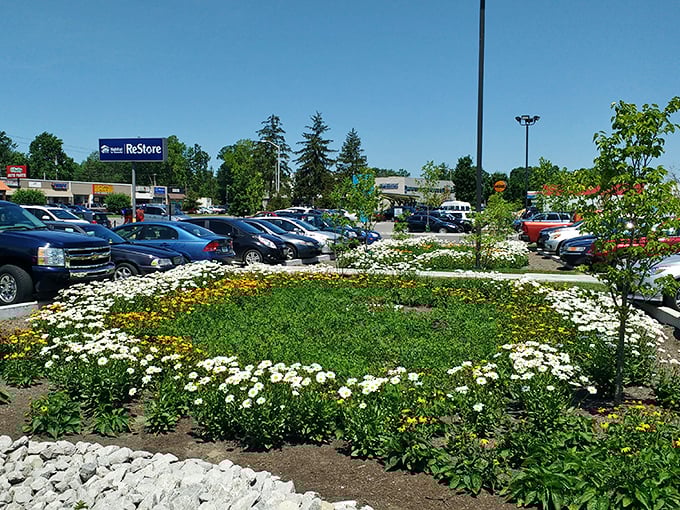Even the ReStore parking lot offers a warm Kentucky welcome, with cheerful daisies that seem to say, "Come on in, the bargains are blooming!"