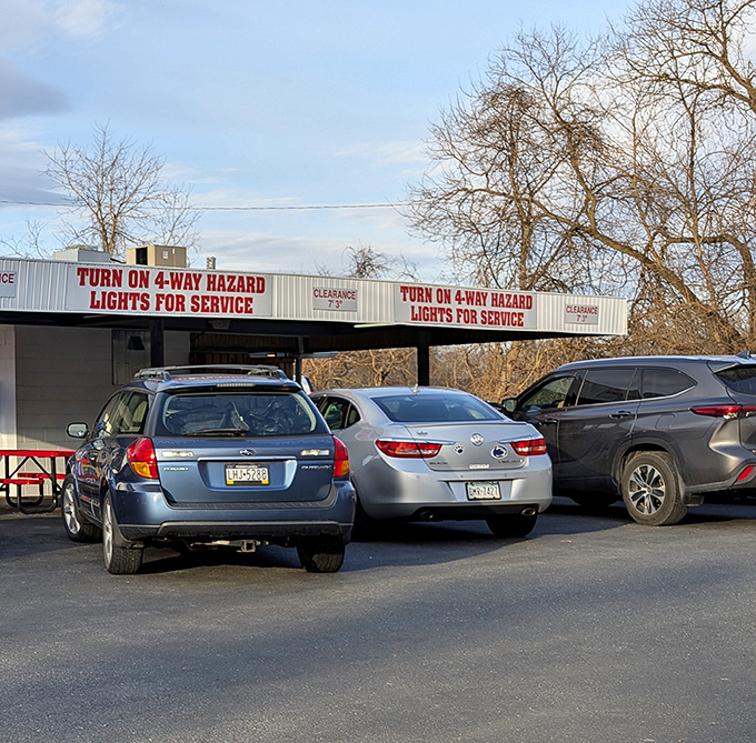 The parking lot ritual: hazard lights on means service is coming. Like Pavlov's dogs, but instead of bells, it's the promise of Bunny Burgers.