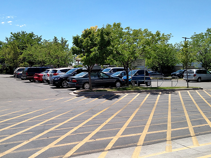 The parking lot fills early on weekends&mdash;a testament to Utah's enduring love affair with thrift shopping and the thrill of the unexpected find.