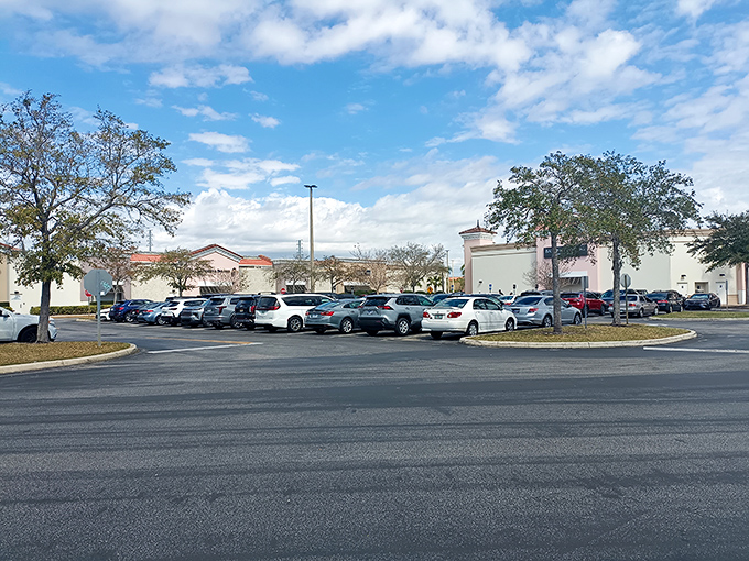 The sprawling parking lot&mdash;a sea of vehicles from across the country&mdash;tells the true story of outlet shopping's universal appeal. Your perfect parking spot awaits... somewhere.