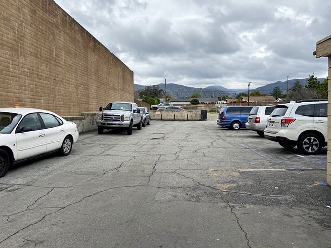 The humble parking lot has witnessed countless donut pilgrimages. These cracked spaces could tell stories of 3 AM cravings and Sunday morning family traditions.