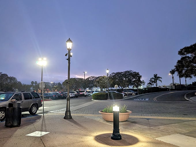 As dusk settles over the parking lot, vintage-inspired lampposts guide weary shoppers back to their cars, arms laden with the day's conquests.