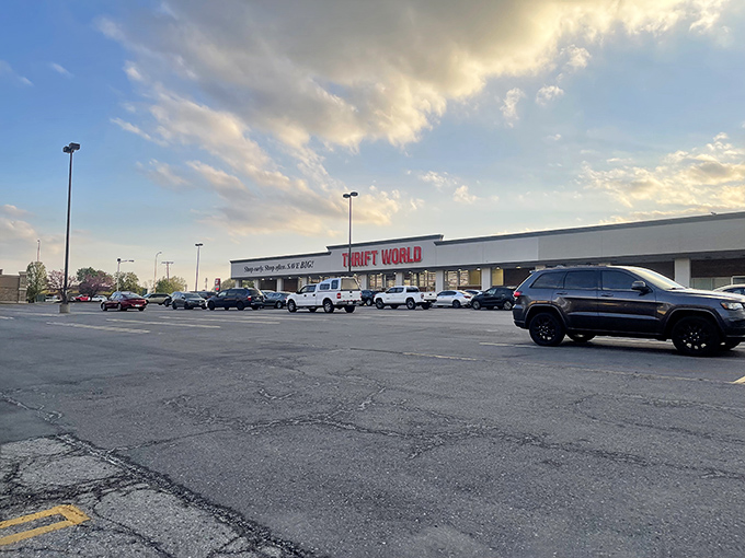 The parking lot at dusk, cars lined up like eager shoppers. Even as the sun sets, the thrill of the hunt continues.