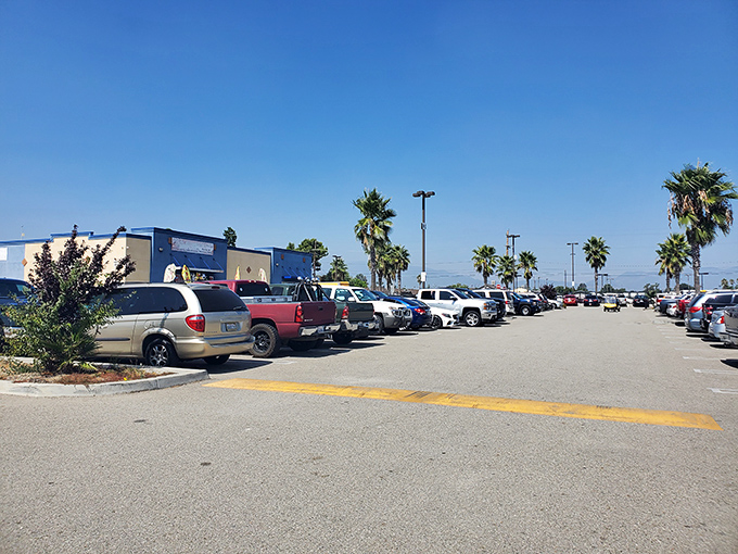 The calm before the bargain storm. This parking lot will transform from empty asphalt to a bustling hub of commerce as shoppers arrive.
