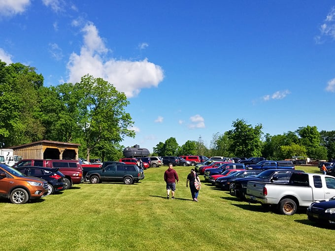 The parking lot tells its own story of dedication, with license plates from across the region representing treasure hunters who know that early birds get the vintage worms.