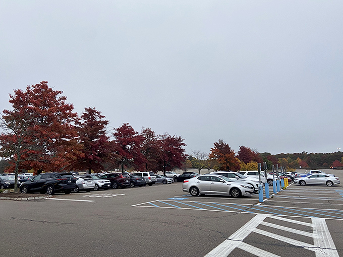 Parking lots that stretch forever, filled with cars from three states hunting for the perfect deal.