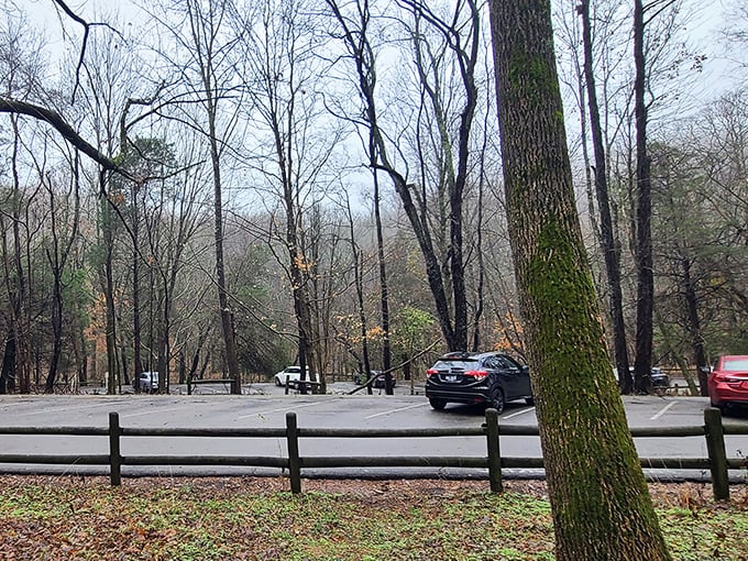 Even the parking area at Radnor maintains woodland character&mdash;where your car can commune with nature while you hit the trails.