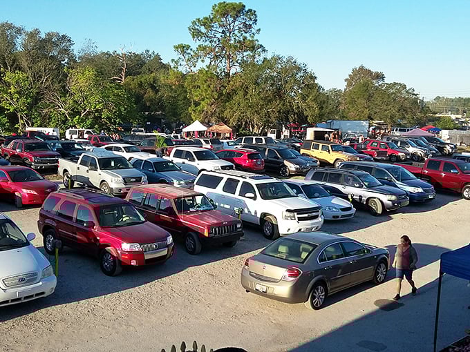 The packed parking lot tells the true story—Silver Moon's enduring popularity as both marketplace and movie venue keeps Floridians coming back.
