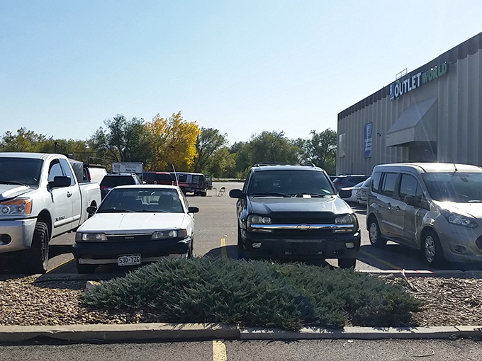The parking lot fills early on discount days. Seasoned thrifters know to arrive with coffee in hand and determination in heart.