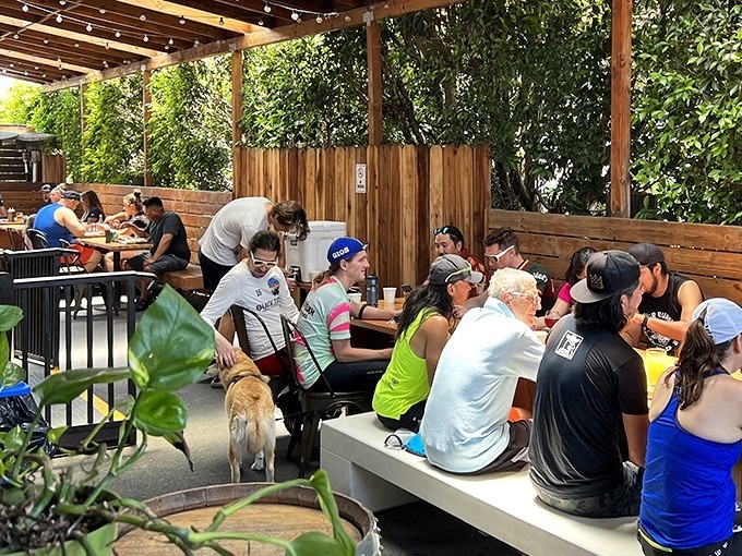 Outdoor dining where strangers become friends united by sauce-stained fingers. Even the dogs know this patio is the place to be.