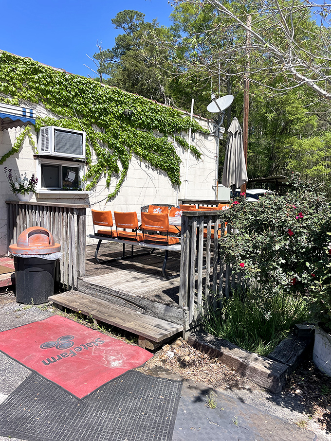 The outdoor seating area, where Clemson orange meets nature's green, offers a peaceful spot to savor your burger while contemplating life's simple pleasures.