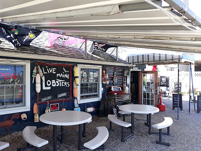 The patio at Stowe's&mdash;where "eating outdoors" becomes an event. Those buoys aren't just decoration; they're memories from the very waters your lunch came from.