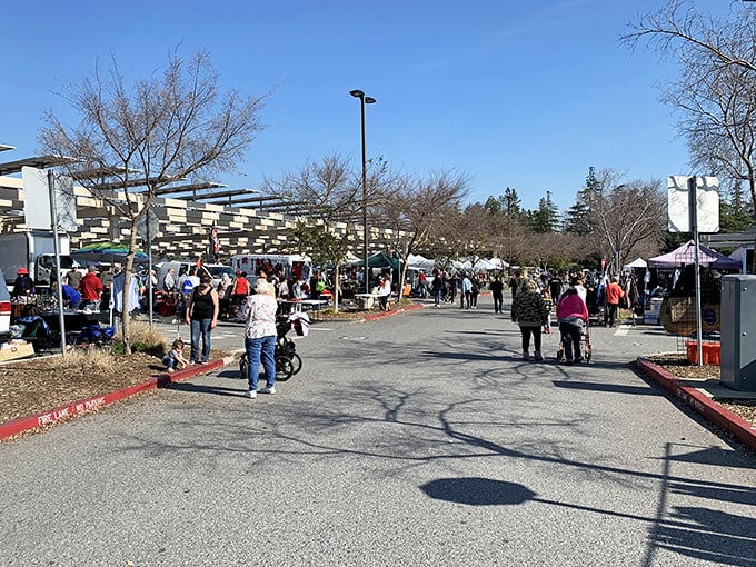 Early birds and late risers alike find their rhythm in this monthly dance of discovery.