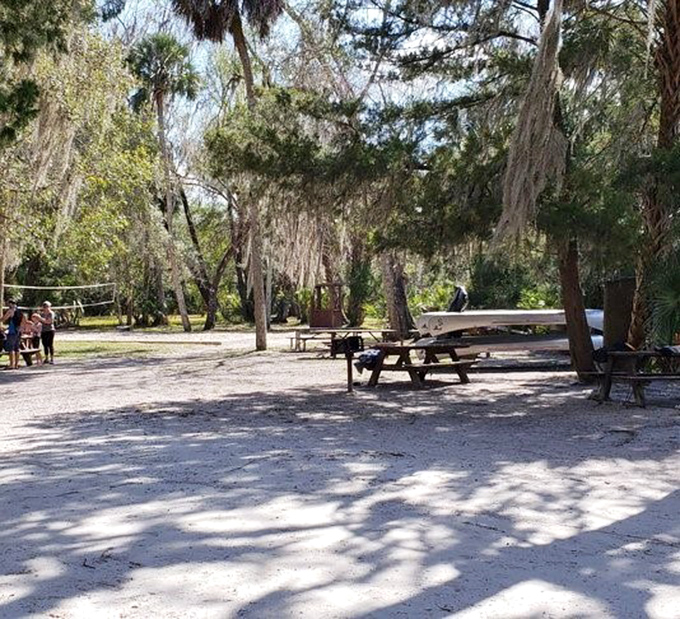 Picnic tables in the dappled shade – the perfect spot to refuel after swimming works up an appetite worthy of Florida's natural wonders.