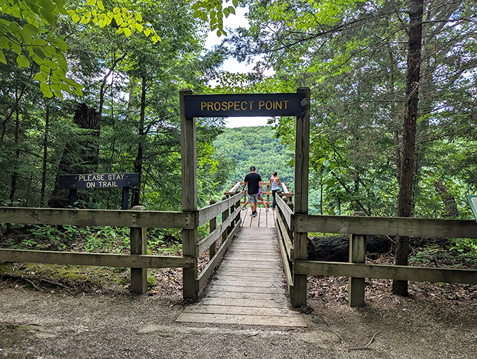 Prospect Point delivers exactly what its name promises &ndash; a breathtaking vista worth every step of the journey. Nature's reward system.