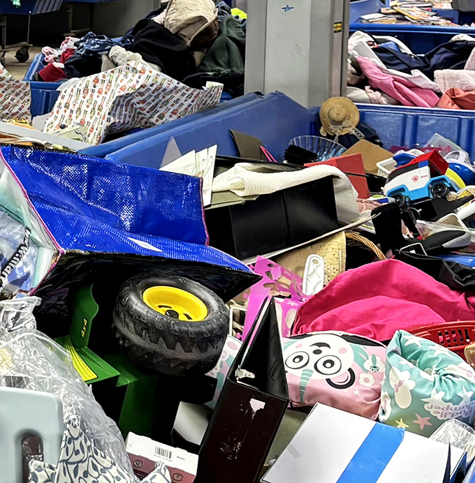 Each blue bin contains its own universe of possibilities—from plushies to that perfect Halloween costume component.