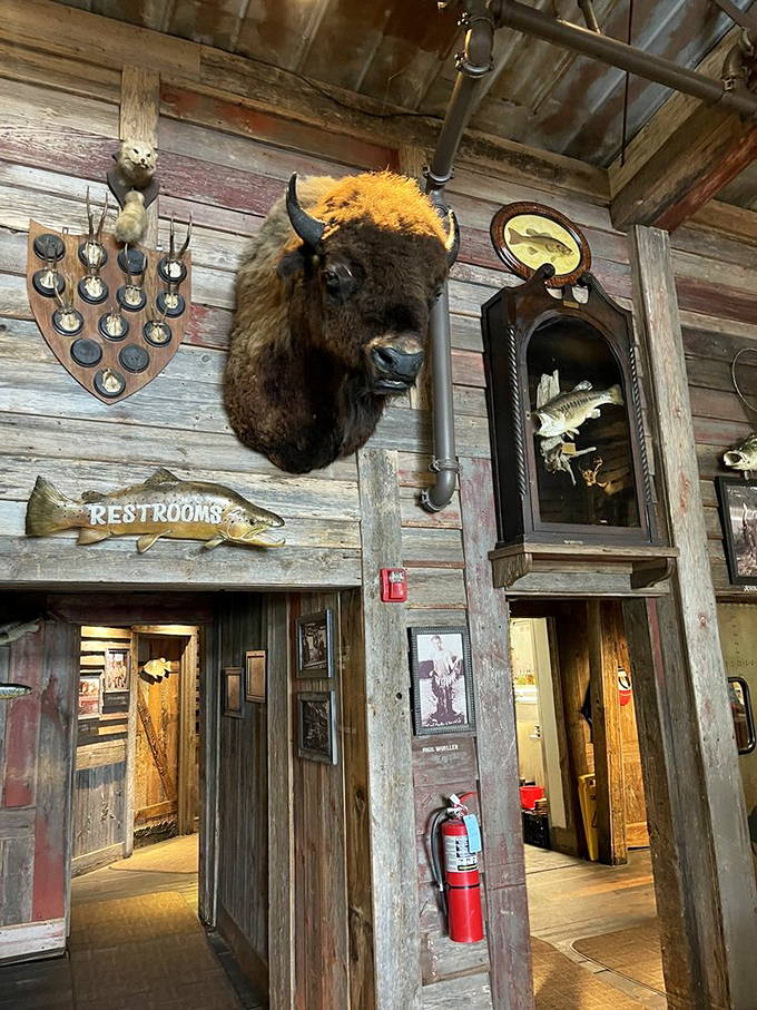 Even the path to the restrooms is an adventure, guarded by a buffalo who's seen everything and judging none of it.