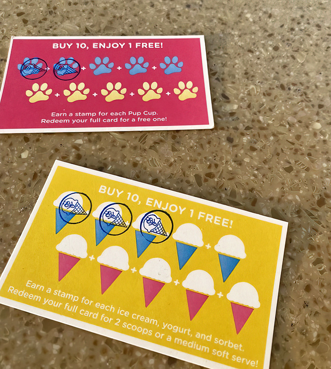 These aren't just loyalty cards&mdash;they're promises of future joy, little rectangular tickets to happiness that you'll guard more carefully than concert passes.