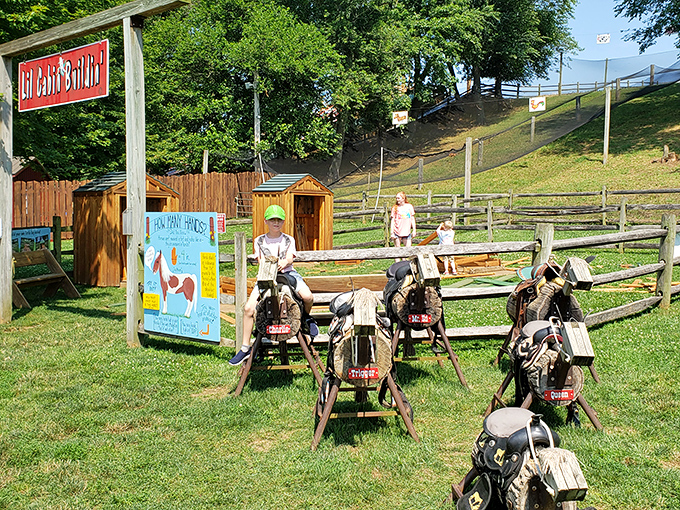 Saddle up, partners! These wooden steeds offer the perfect introduction to horseback riding without the unpredictable nature of actual horses.