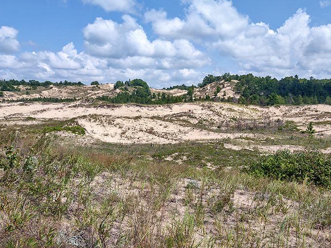 The dunes that inspired legends and postcards. These ancient sand mountains have been sculpted by wind and time into natural masterpieces.