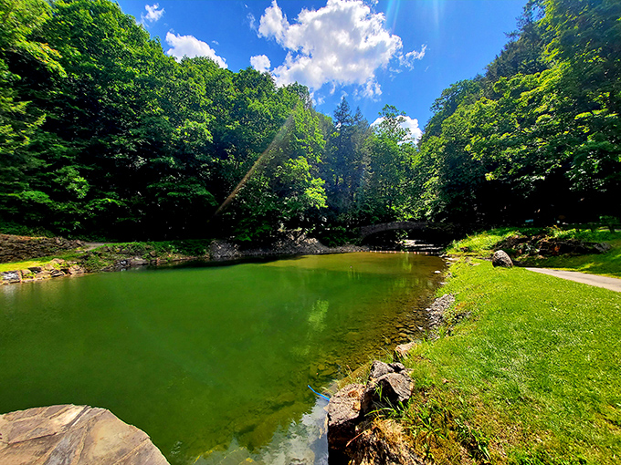 The swimming area glows emerald in summer sunlight. A refreshing oasis that makes you forget about chlorinated pools and crowded beaches forever.