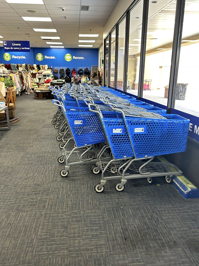The blue chariots await your treasure-hunting expedition. These carts have carried more fashion resurrections and household reincarnations than we can count.