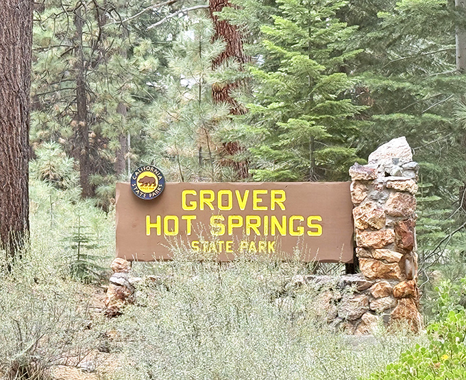The sign that signals your transition from "regular life" to "remember this forever" territory. California's bear welcomes you to hot spring heaven.