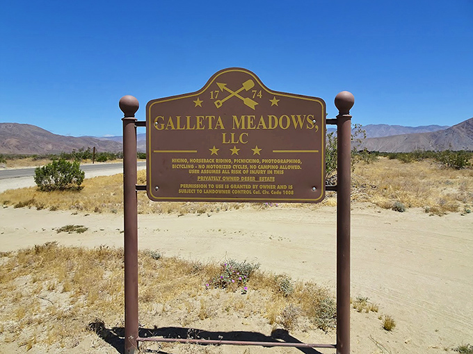 The official welcome to Galleta Meadows, where art and desert meet in one of California's most unusual outdoor galleries.