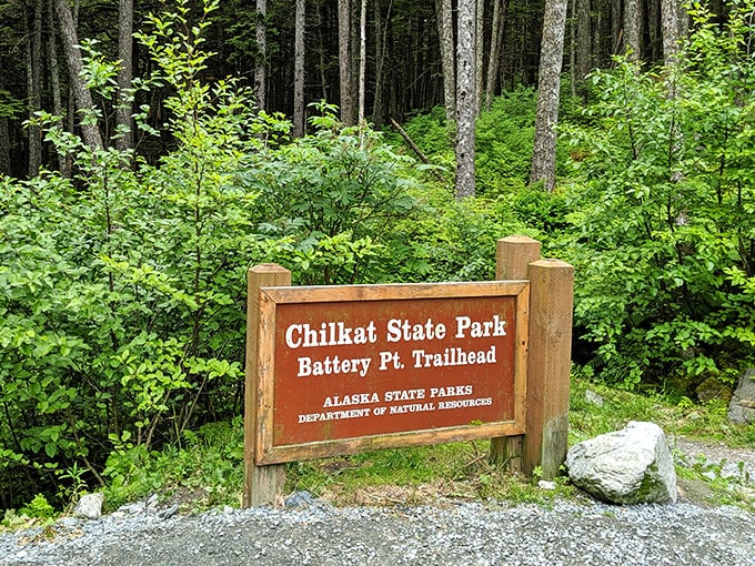 The sign says "trailhead," but what it really means is "portal to experiences you'll be humble-bragging about for years."