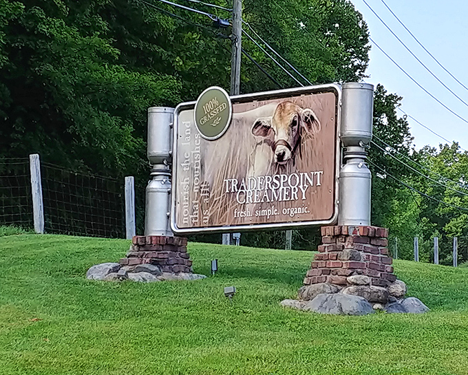 A welcome sign featuring the real star of the show. This bovine beauty reminds us that great food begins with respect for the animals who help create it.