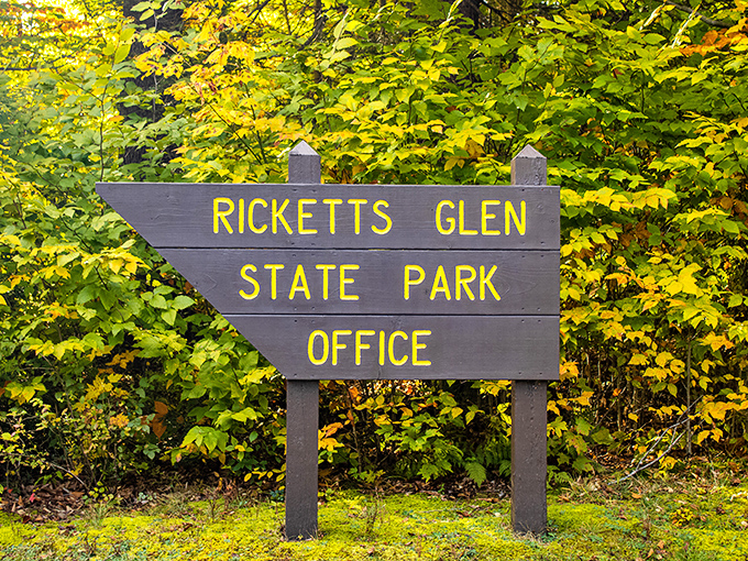 The entrance sign that promises adventure beyond. Like the wardrobe to Narnia, but with better trail markers and fewer talking lions.