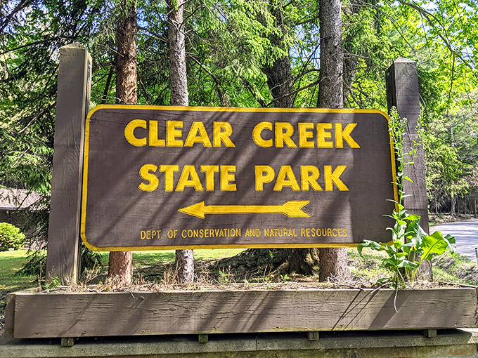 Not all who wander are lost, but this sign ensures you're definitely in the right place for your nature fix.