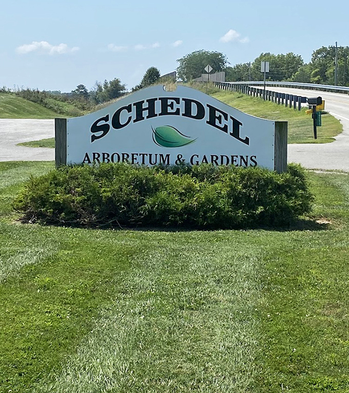 The gateway to wonderland! This unassuming sign marks the threshold between ordinary life and the extraordinary experience that awaits beyond.