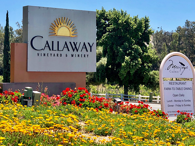 Callaway's entrance sign blooms amid a riot of California wildflowers&mdash;nature's own colorful endorsement of what awaits inside.