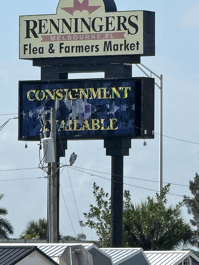 The vintage roadside sign announces "CONSIGNMENT AVAILABLE" like a beacon to entrepreneurs. In the flea market kingdom, everyone can be a merchant prince.