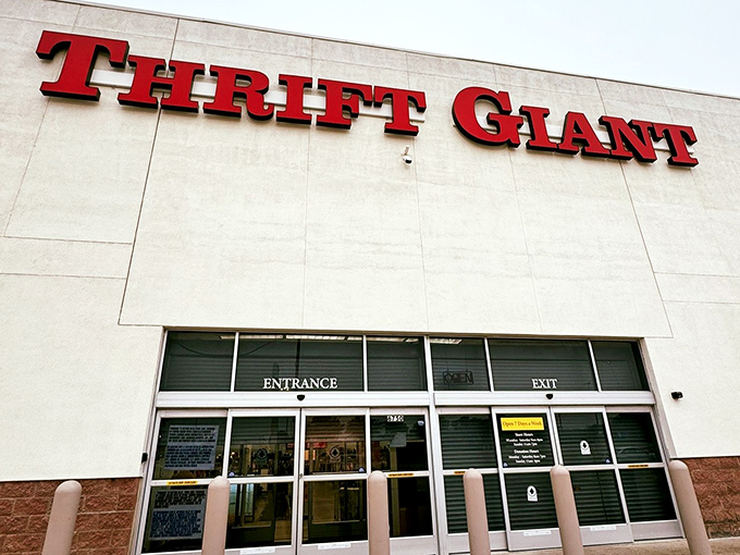 The entrance beckons with glass doors that open to retail salvation, where "entrance" means opportunity and "exit" means victory with shopping bags.