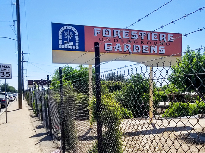 The unassuming entrance along a Fresno street hides one of California's most remarkable attractions&mdash;proof that magic exists below street level.