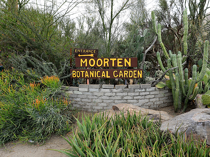 The entrance sign promising botanical adventures beyond. No turning back now &ndash; you're about to enter a genuinely different world.