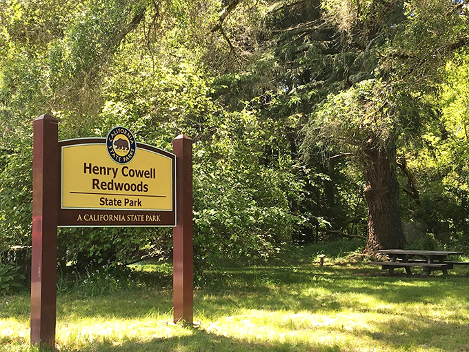 The official welcome sign to wonderland. That picnic table is practically begging you to unwrap a sandwich and stay awhile.