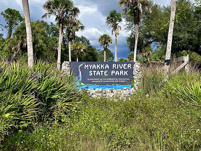 The entrance sign, framed by palms and native plants, welcomes visitors to one of Florida's oldest and largest state parks.