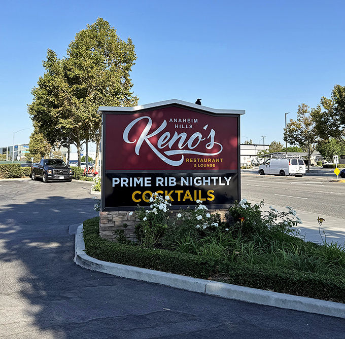 The roadside sign proudly announces "Prime Rib Nightly" &ndash; three words that have caused more spontaneous U-turns than any GPS recalculation.