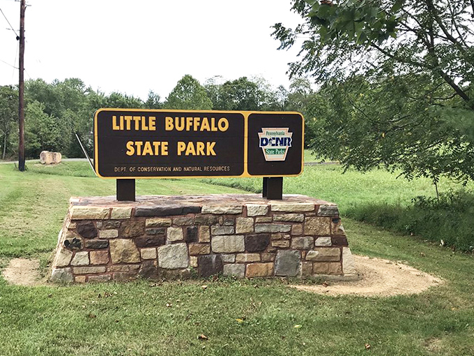 The entrance sign: your official notification that stress reduction and memory-making are about to commence. No app required.