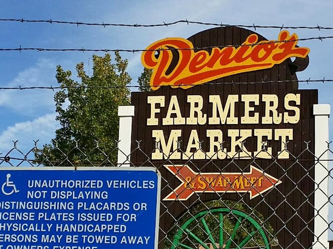 The gateway to treasure hunting paradise. Denio's iconic sign promises adventure, bargains, and the thrill of the unexpected just beyond the fence.