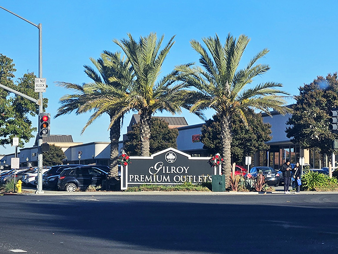 The palm-flanked entrance sign stands as a retail landmark, beckoning shoppers to the promised land of designer discounts.