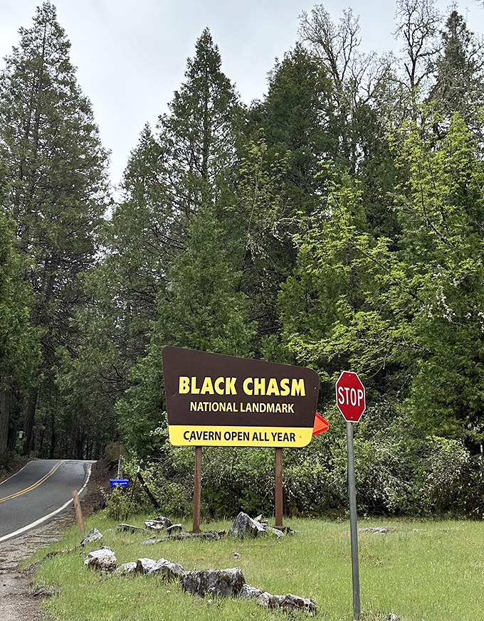 Yes, we're open all year! The welcoming sign that greets travelers, promising subterranean wonders regardless of the season.