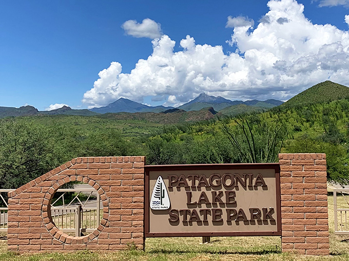 The entrance sign frames mountains that look like they were painted as a backdrop, welcoming visitors to a park that refuses to conform to Arizona stereotypes.