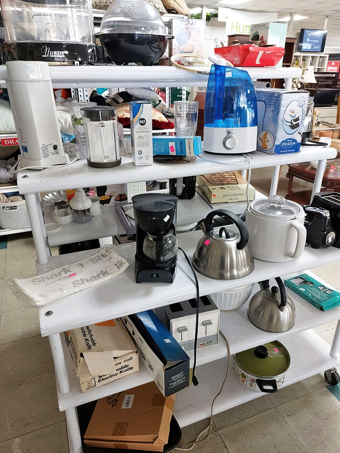 Kitchen appliance nirvana. From coffee makers to blenders, these gently-used gadgets are ready for their second culinary adventure.