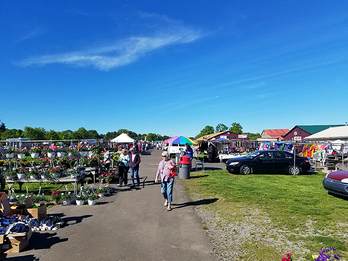 A perfect market day under Pennsylvania blue skies, where the only thing more abundant than the merchandise is the possibility of unexpected discovery.