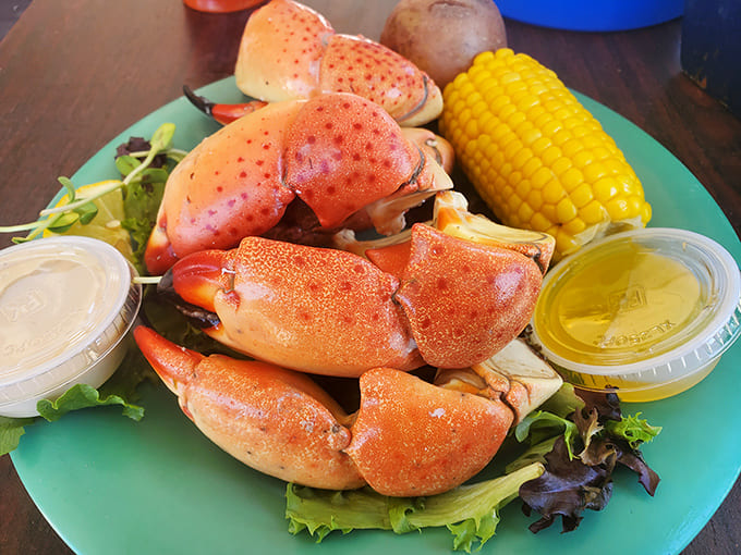 Stone crab claws&mdash;Florida's edible treasure&mdash;served simply because perfection needs no embellishment.