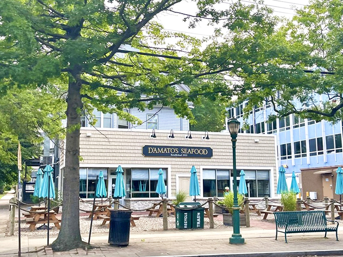 D'Amato's stands proud in its neighborhood setting, teal umbrellas unfurled like flags announcing "The best seafood in New Haven lives here!"